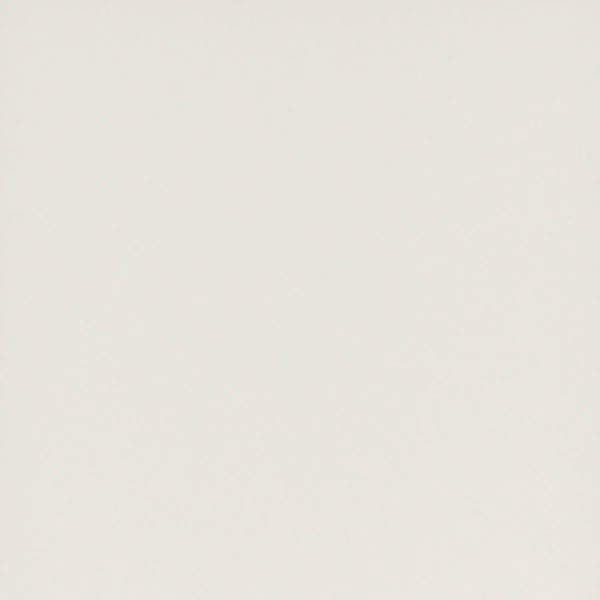 Boreal Paint Cabinet Finish - Abode Cabinetry